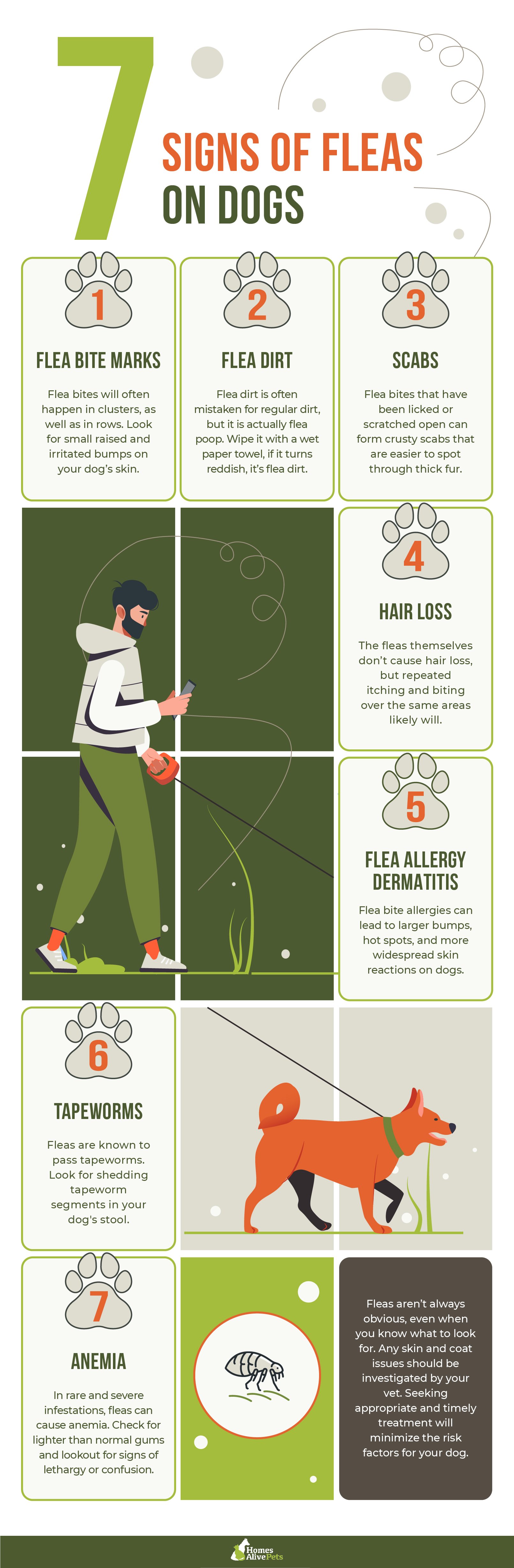 Ultimate Guide to Fleas on Dogs: Signs, Treatment & Prevention