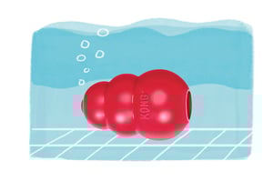 13 Fun Ways to Use a KONG