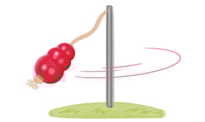 13 Fun Ways to Use a KONG