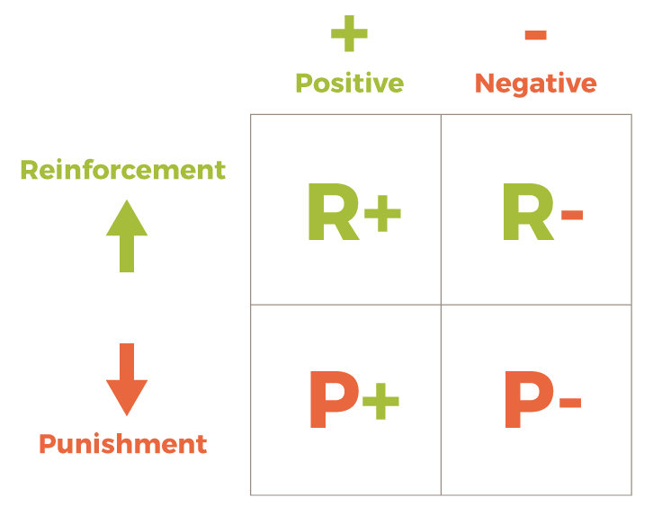 Force Free Dog Training Techniques: Tips from an Expert