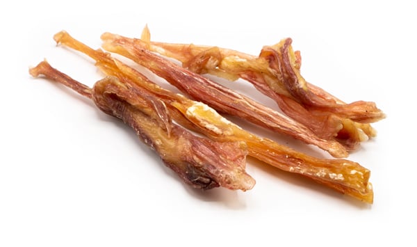 Best Bully Sticks: What are Bully Sticks made From?