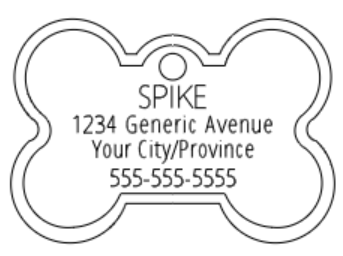 What To Put On A Dog Tag: Keeping Your Dog Safe with right ID