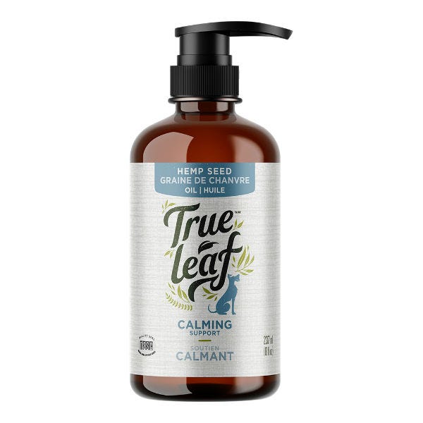 Hemp Oil for Dogs: Natural Treatment for Anxiety and More