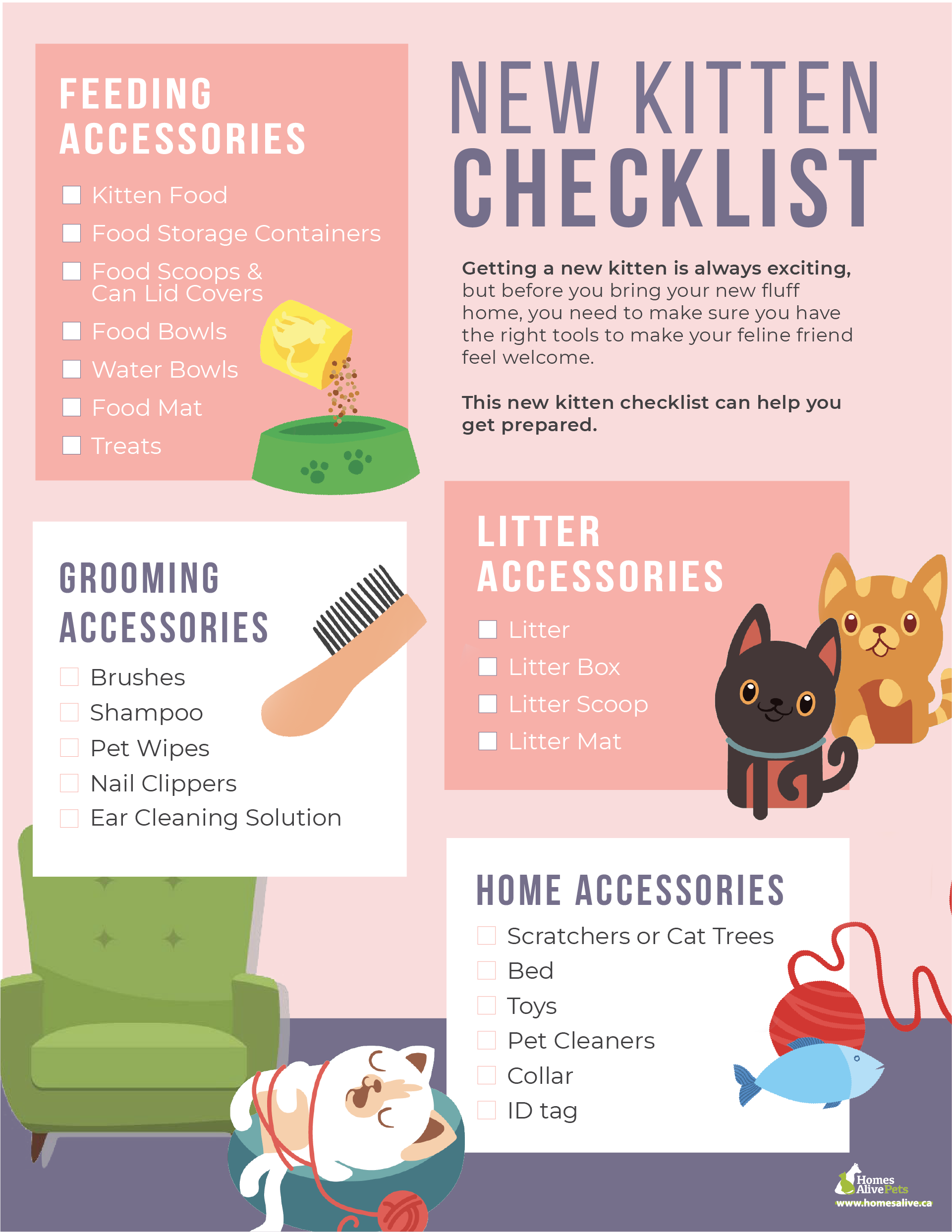 New Kitten Checklist: What Do I Need for a Kitten?