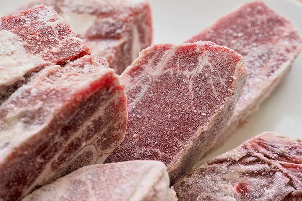 Raw Dog Food for Beginners: Everything You Need to Feed Your Dog Raw