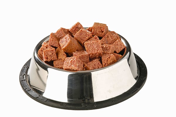 Raw Dog Food for Beginners: Everything You Need to Feed Your Dog Raw