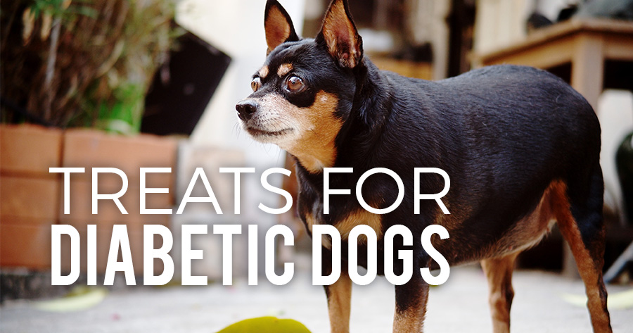 Choosing Treats For Diabetic Dogs choosing-treats-for-diabetic-dogs
